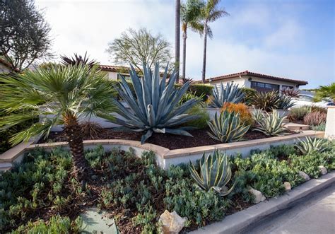 Redondo Beach Ca Low Water Landscaping Cutting Edge Landscape Design