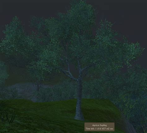 Apricot Tree Archeage Wiki Fandom