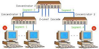 Networking DCCN Bus TOPOLOGY