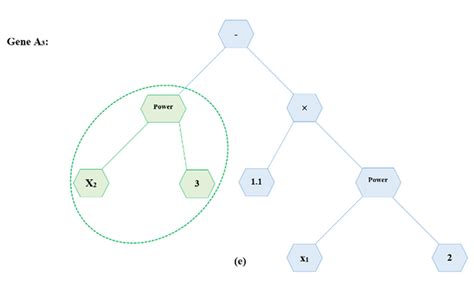 An Example Of A Multi Gene Genetic Programming Mggp Procedure