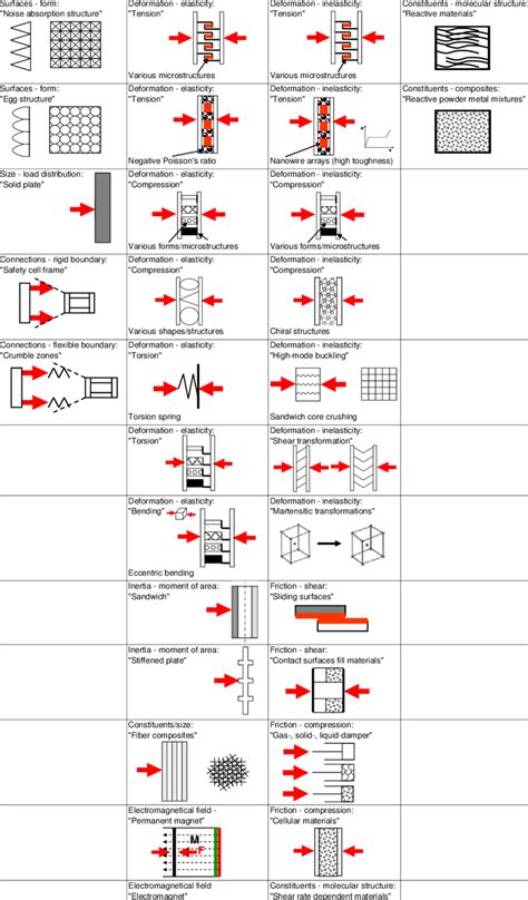 Morphological Matrix For Selected Functional Relationships Download Table