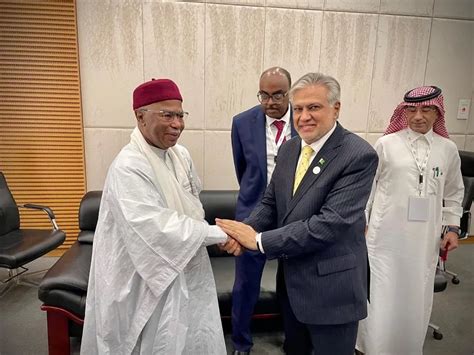 Ishaq Dar Meets Oic Secretary General Shares Pakistans Concerns Over