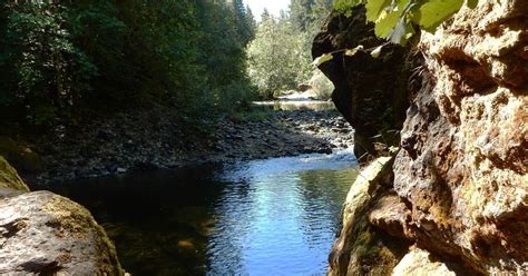 Sharps Creek Camping Dorena Oregon