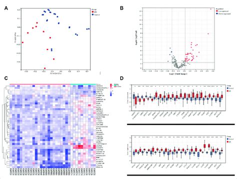 Differentially Expressed Autophagy Related Genes In The Download