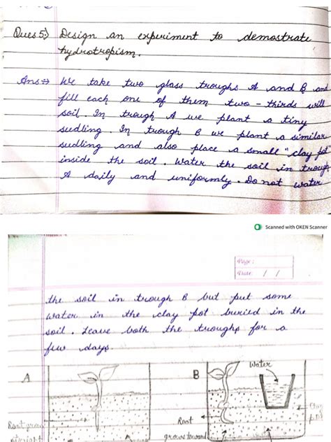 Chapter 7 Question Answer Pdf