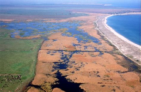 СДРУЖЕНИЕ ЗА ОПАЗВАНЕ НА ДИВАТА ПРИРОДА с грижа за природата