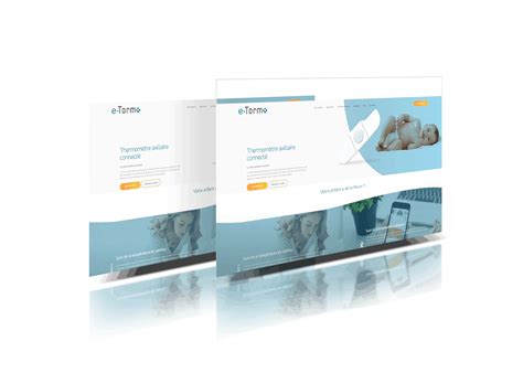 E Torm Biznet Agence Digitale Wordpress