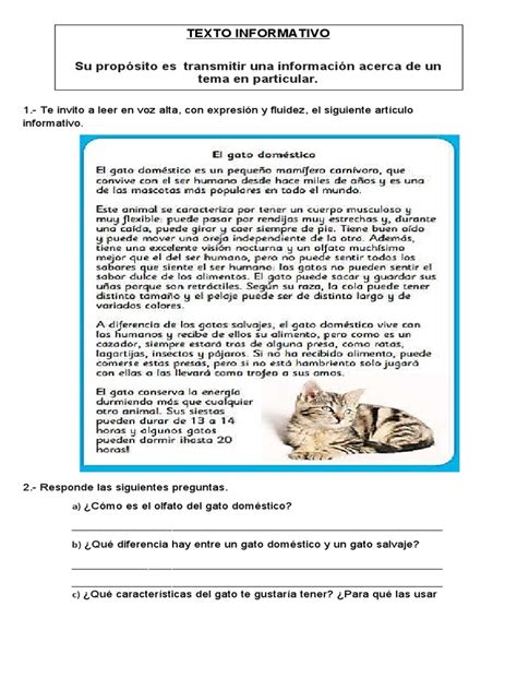 Articulo Informativo Pdf