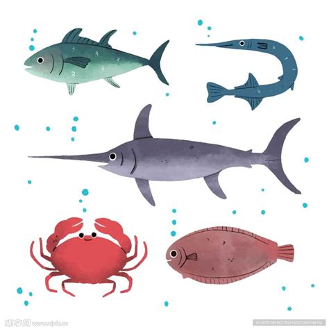 卡通海洋生物设计图 海洋生物 生物世界 设计图库 昵图网