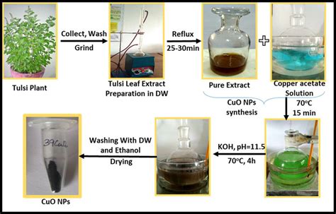 Synthesis Of Cuo Nps Copied With Permission From Ref 299 Elsevier Download Scientific