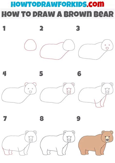 How To Draw A Brown Bear Step By Step Tutorial