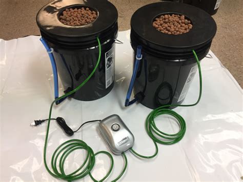 Hydroponics Dwc Buckets 5 Gallon Bubble Buckets Pa Hydroponics