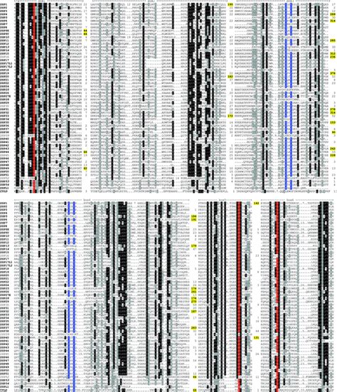 Alignment And Box Classification Of Human Usp Domains Multiple Download Scientific Diagram