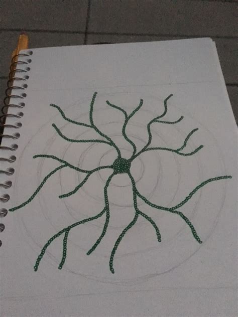 “branching Out” The Story Of Sholl Analysis Sciart Thatll Make You