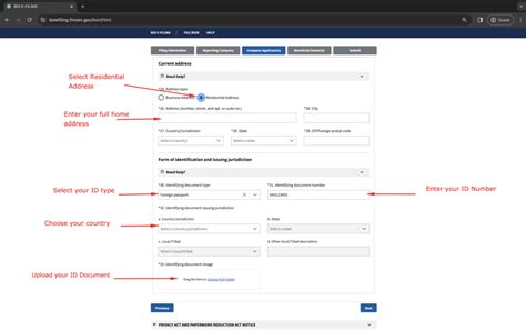 how to file the beneficial ownership information report boir