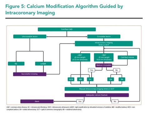 Rodrigo Bagur Has Curated The A Z Of Calcium Modification In A Series