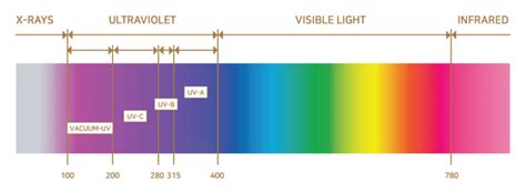 오스트레일리안 골드
