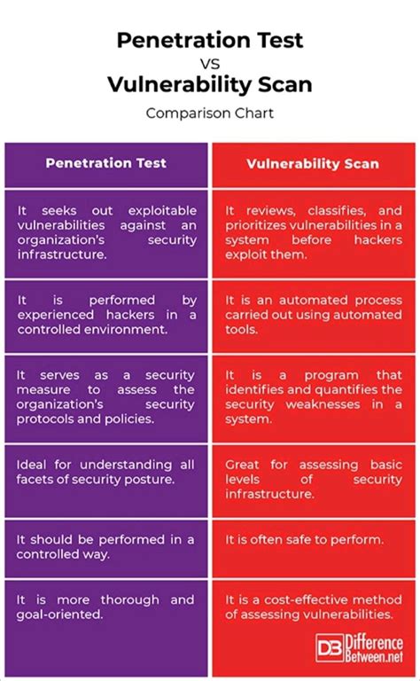 Donna R On Linkedin Infographic Vulnerabilitytesting