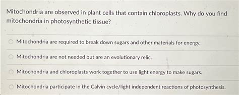 Solved Mitochondria Are Observed In Plant Cells That Contain