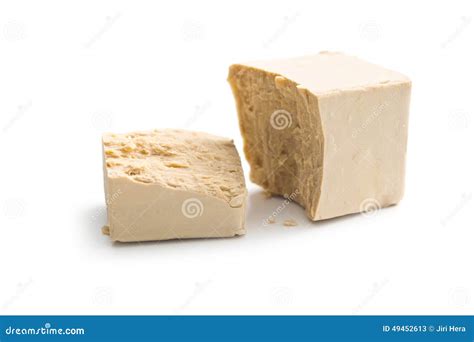 Verse Gist Stock Afbeelding Image Of Bakkerij Achtergrond 49452613