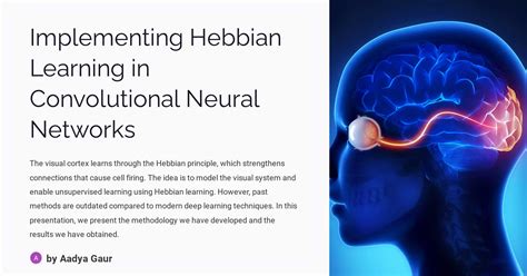 Implementing Hebbian Learning In Convolutional Neural Networks