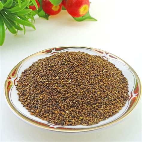 菟丝子中药材500g克纯野生正品非特级菟丝子粉兔丝子小菟丝子茶 虎窝淘
