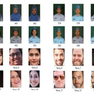 Female Image Dataset Figure 3 Male Image Dataset Download Scientific Diagram