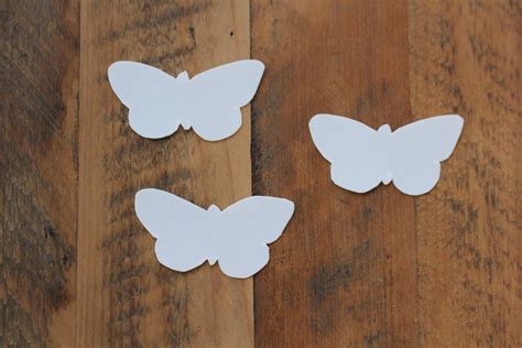 Best 13 How To Make Homemade Cabbage Moth Decoys Artofit