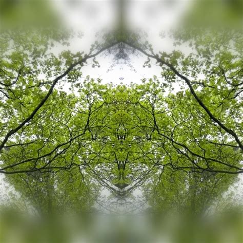 Man Hing Lee On Linkedin The Lovely Summer Arrived So It Was Fabulous To See The Green Leaves…