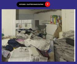 CLUTTER IMAGE RATING SCALE Carlton Thomas