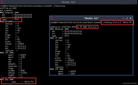 P4学习五实验二basic Tunnelingp4基础实验 Csdn博客