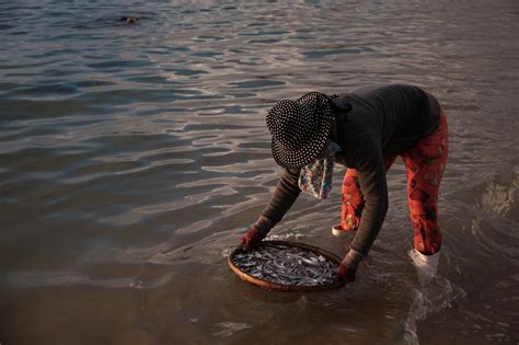 Mundo Positivo História Hoje Apollo 11 E O Início Da Jornada Que Levou O Homem à Lua Mundo