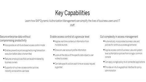 Sap Dynamic Authorization Management Reviews And Pricing 2025 Goodfirms