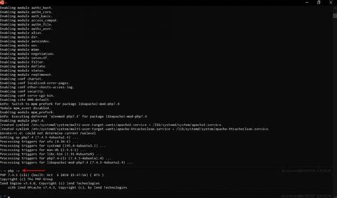 Npm Gifsicle Garetseries