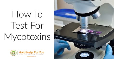 How To Test For Mycotoxins Mold Help For You