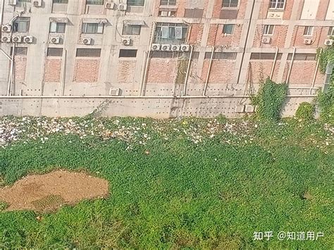疫情期间华府骏苑垃圾依旧堆积如山 知乎