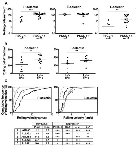 Impact Of P Selectin Glycoprotein Ligand 1 Psgl 1 And Lewisx Download Scientific Diagram