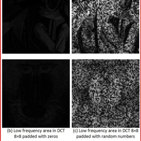 General Concept Of Selective Encryption Download Scientific Diagram
