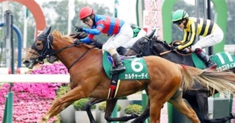 【ファンタジーs（g3）回顧～その先へ】日刊コンピ篇｜haya