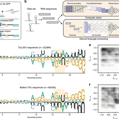 Interpretable Machine Learning Tools Can Extract Intrinsic