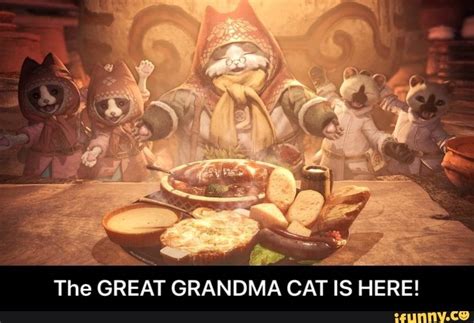 The Great Grandma Cat Is Here The Great Grandma Cat Is Here