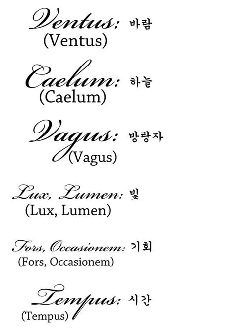 세련되게 라틴어단어로 레터링문구를 하시는 것은 어떠세요 네이버 블로그