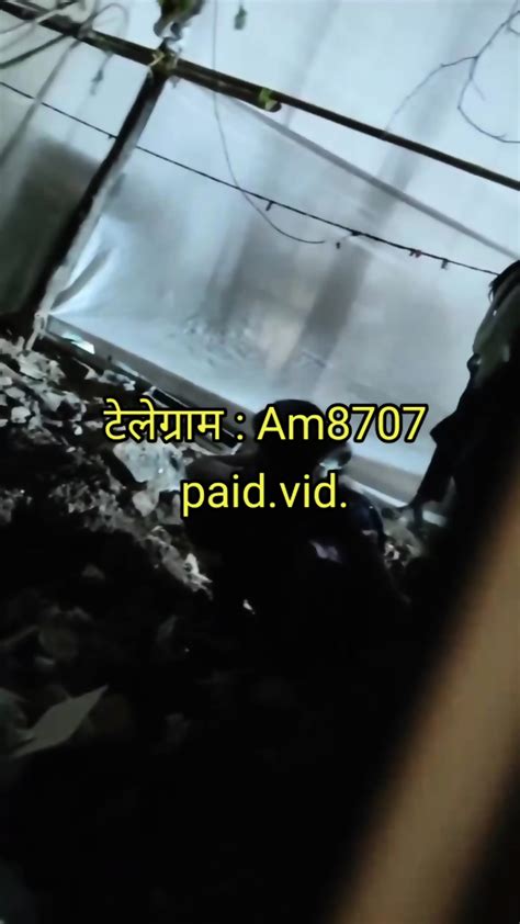 Indian Open Group Pissing In Night