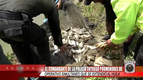 La PolicÍa ReportÓ La IncautaciÓn De MÁs De 18 Mil Peces De Una Especie