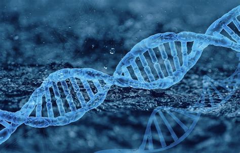Are Telomeres The Key To Living Forever Wisdom Agora