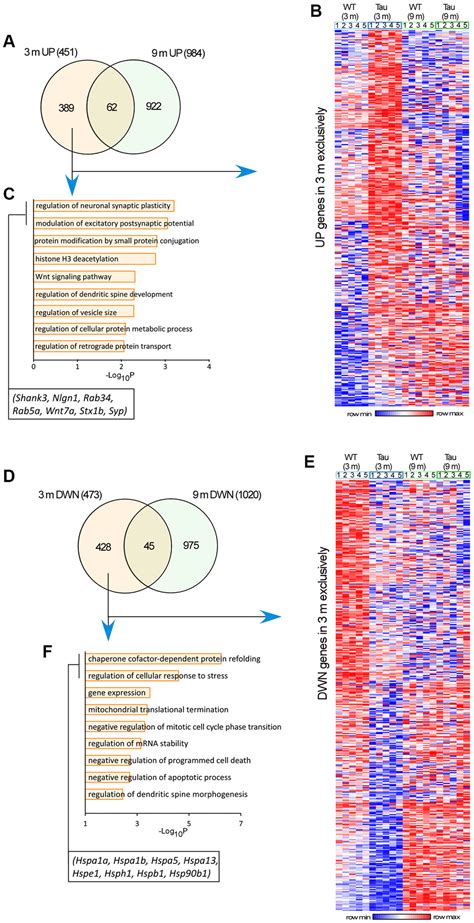 Longitudinal Characterization Of Behavioral Morphological And