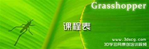Grasshopper教程课程表 零刻学堂