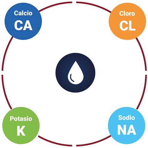 Importancia De Los Electrolitos Xaxn