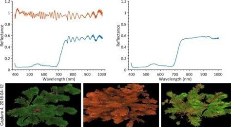 Sensors Free Full Text Preprocessing Ground Based Visible Near Infrared Imaging Spectroscopy