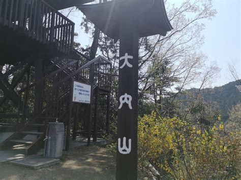 埼玉県虎山の千本桜 感動の里山桜を堪能 四国お遍路チャレンジ2019たまに山キャンプ